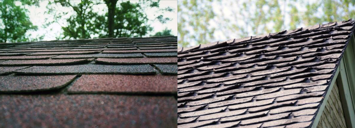 Curling Shingles: Causes, Risks, & Repair vs. Replacement Guide